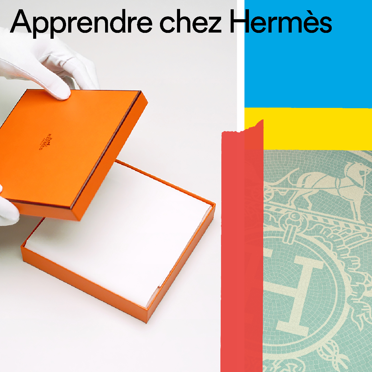 Les stages et alternances